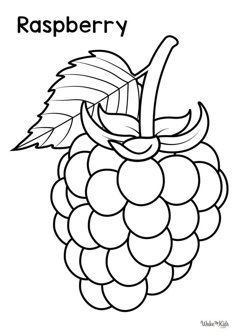 Raspberry Coloring Pages (Free Printable PDFs) | WakeTheKids