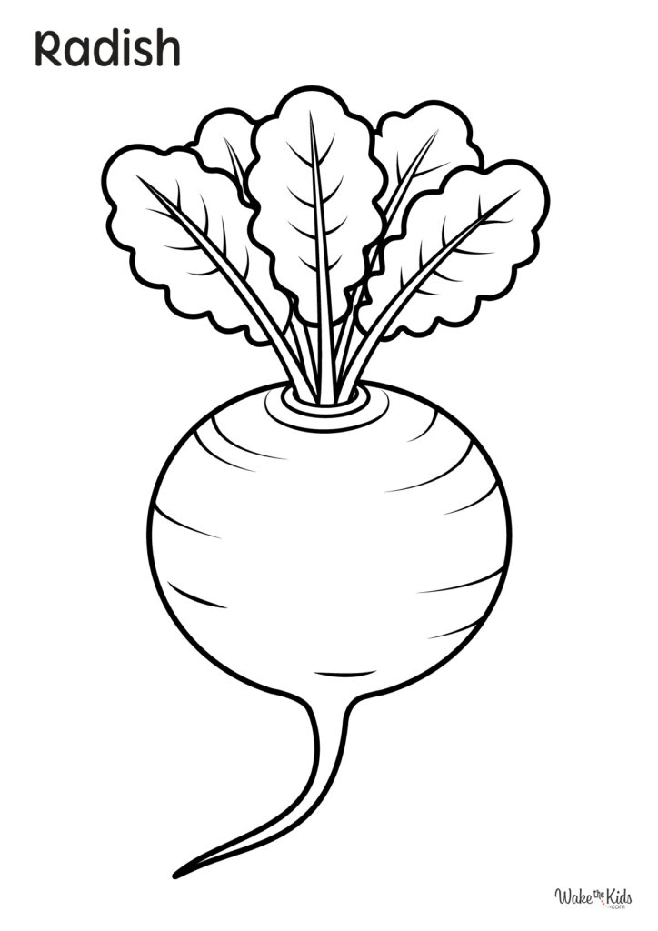 Radish Coloring Pages (Free Printable PDFs) | WakeTheKids