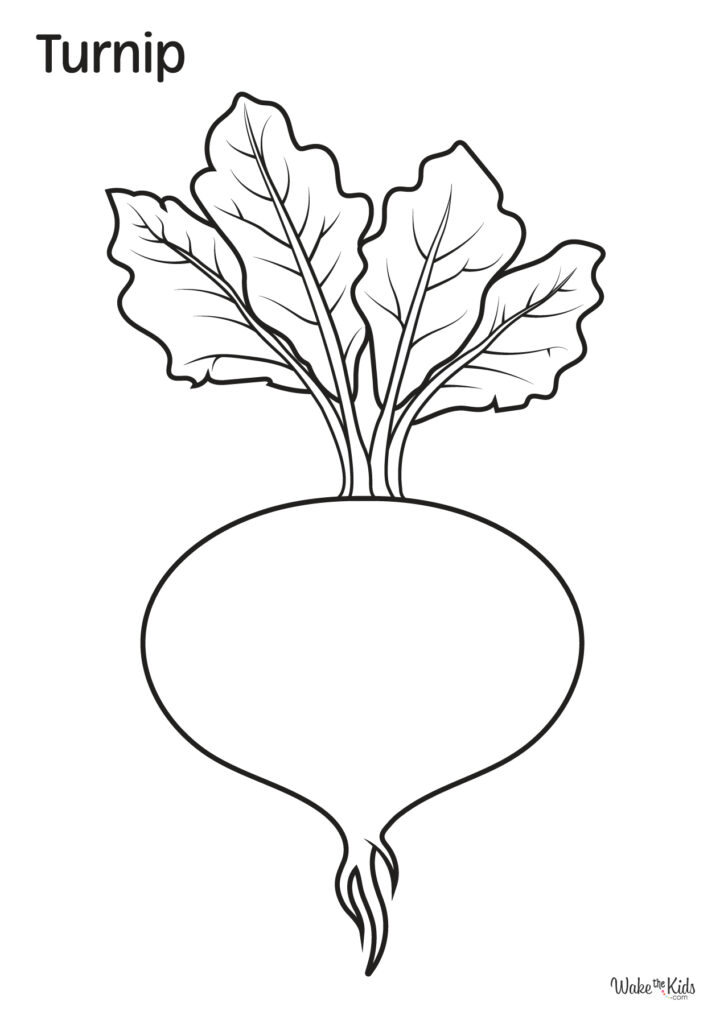 Turnip Coloring Pages (Free Printable PDFs) | WakeTheKids