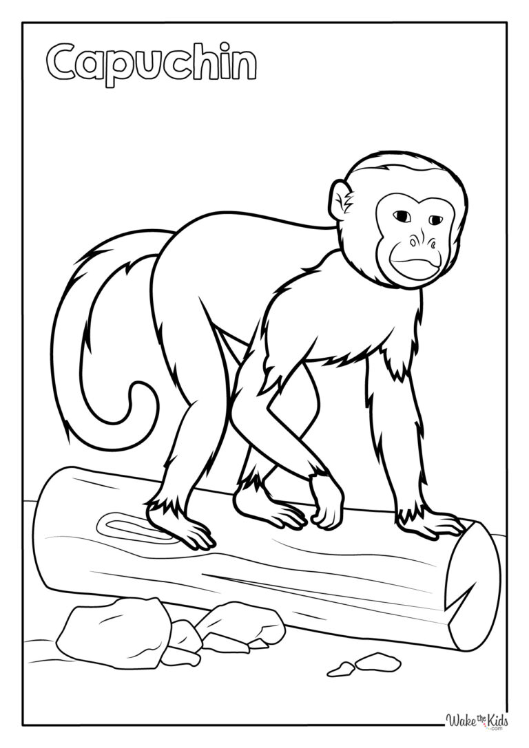Monkey Coloring Pages (Free Printable PDFs) | WakeTheKids