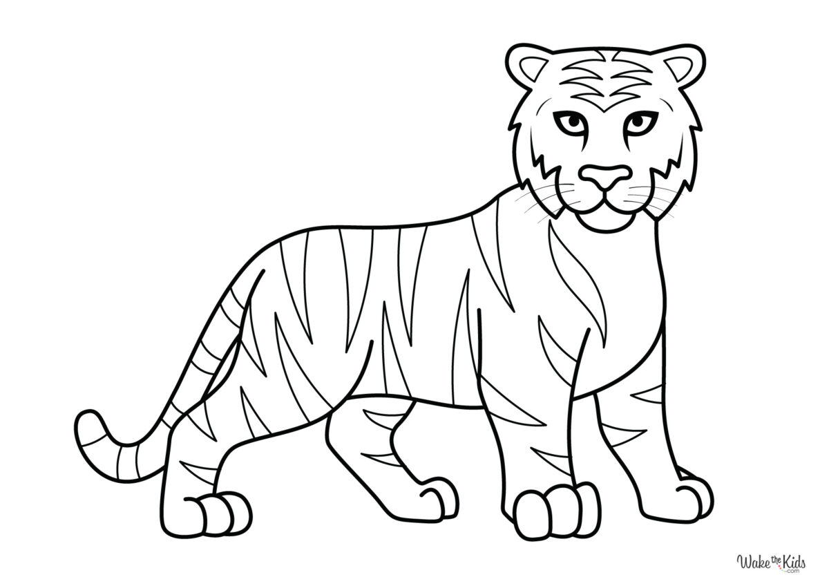 Tiger Coloring Pages (Free Printable PDFs) | WakeTheKids