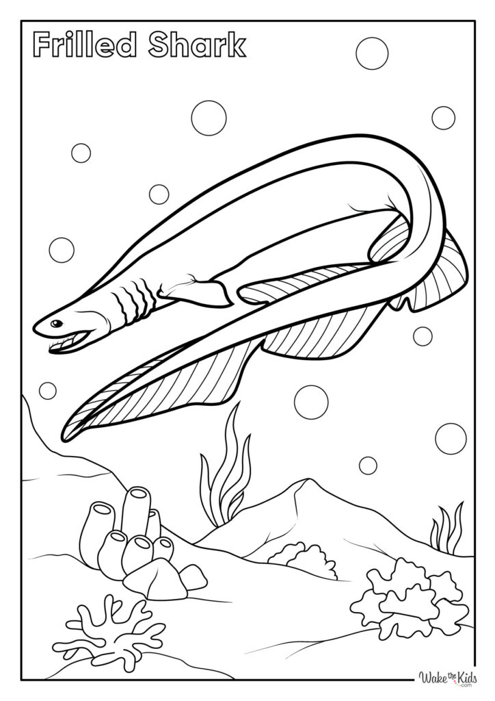 Shark Coloring Pages (Free Printable PDFs) | WakeTheKids