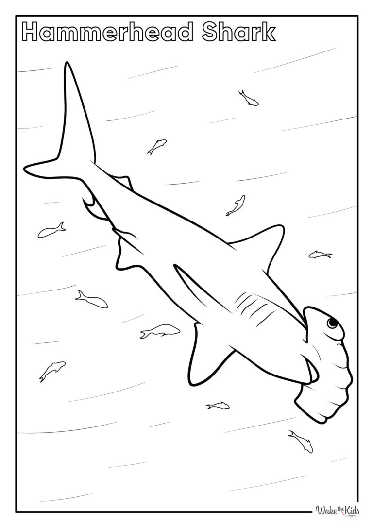 Shark Coloring Pages (Free Printable PDFs) | WakeTheKids