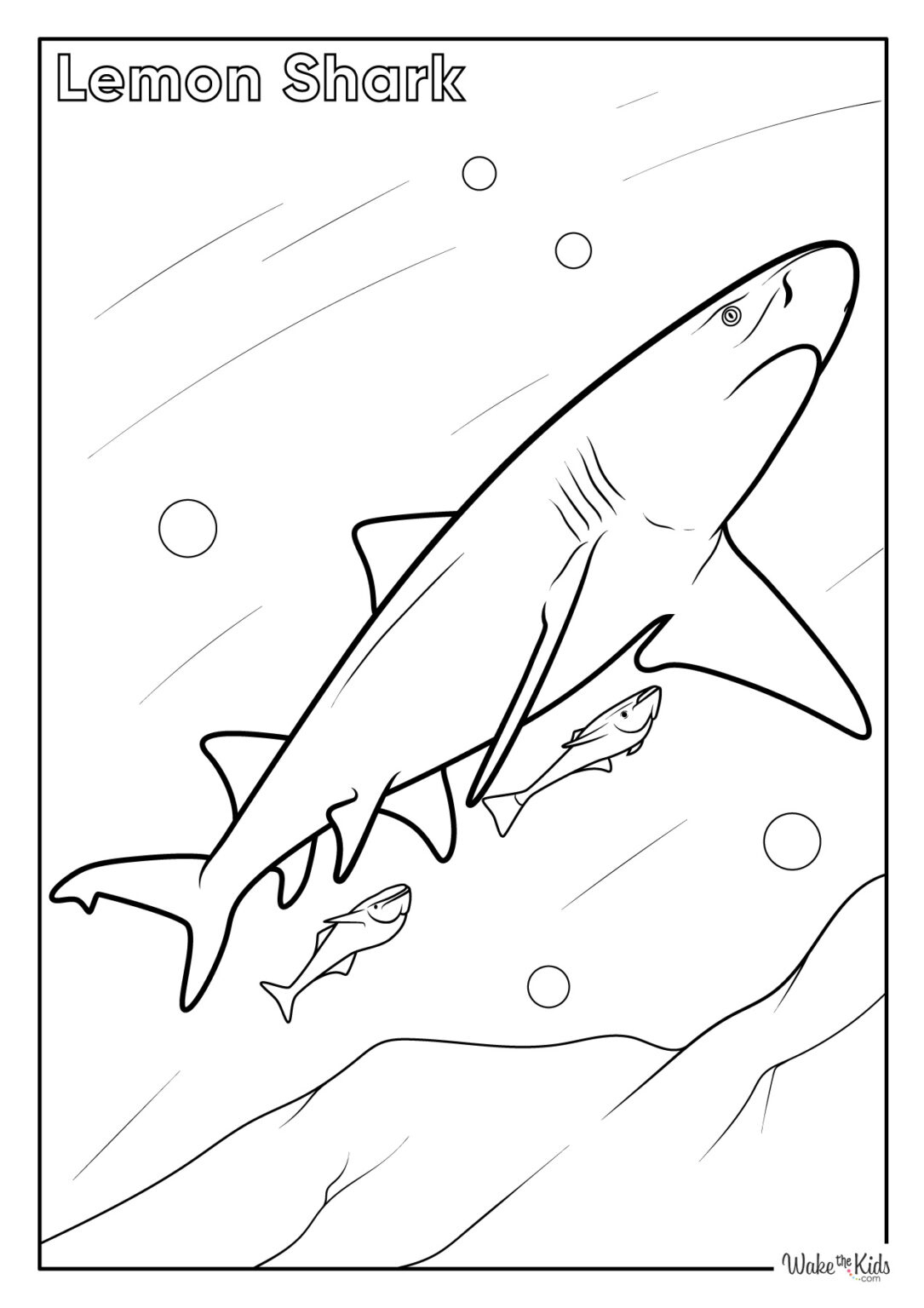 Shark Coloring Pages (Free Printable PDFs) | WakeTheKids