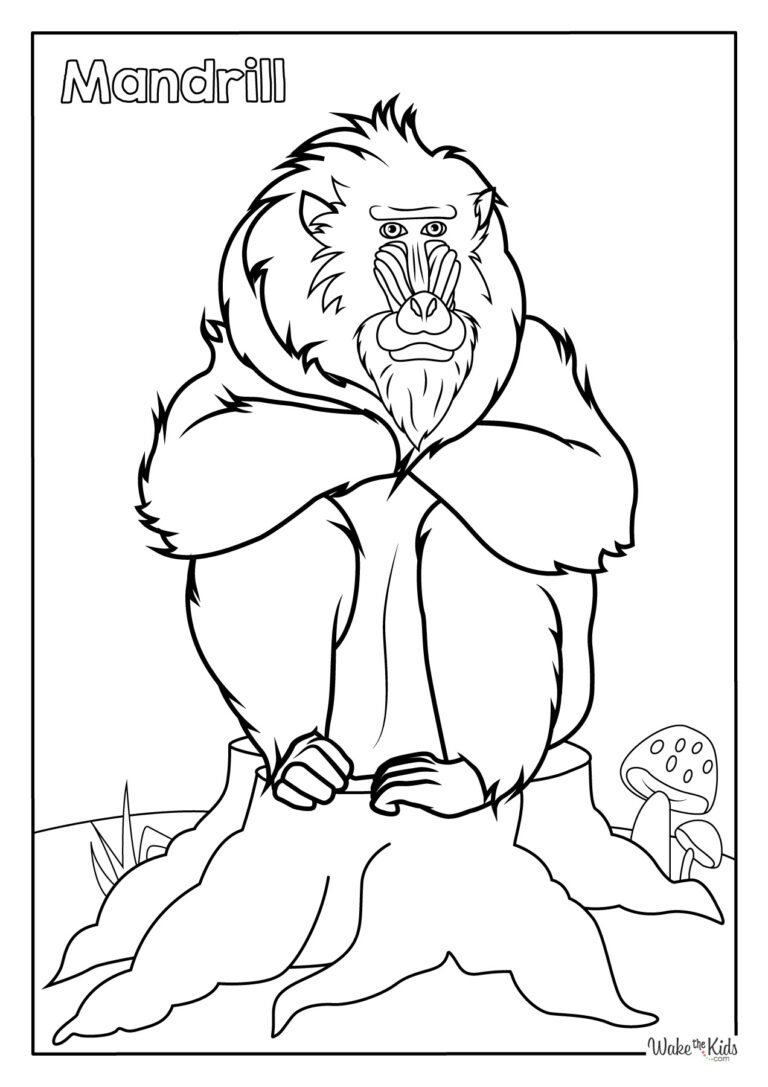 Monkey Coloring Pages (Free Printable PDFs) | WakeTheKids