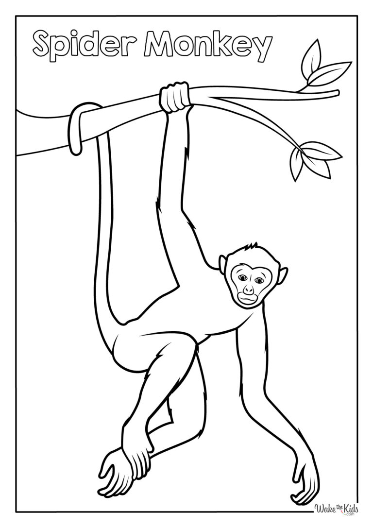 Monkey Coloring Pages (Free Printable PDFs) | WakeTheKids