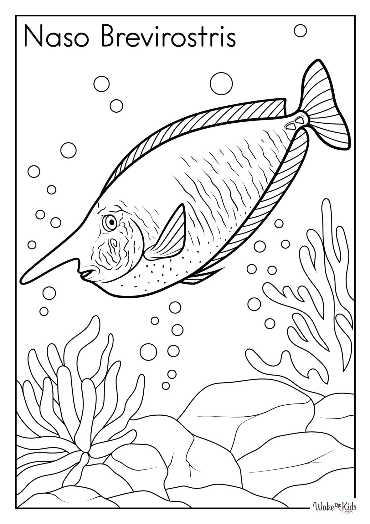 Bass Coloring Pages (Free Printable PDFs) | WakeTheKids