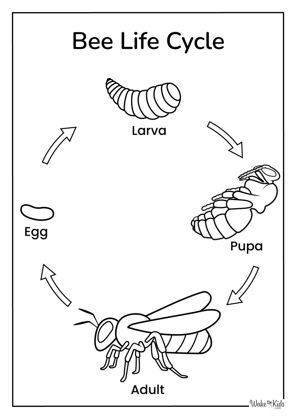 Bee Coloring Pages (Free Printable PDFs) | WakeTheKids