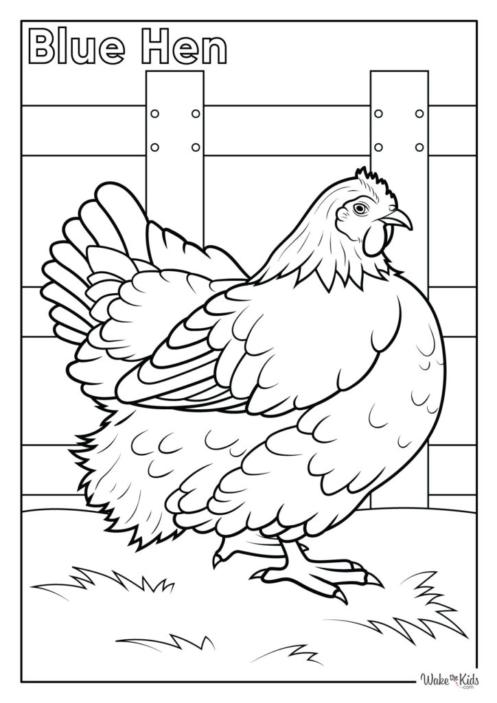 Chicken Coloring Pages (Free Printable PDFs) | WakeTheKids