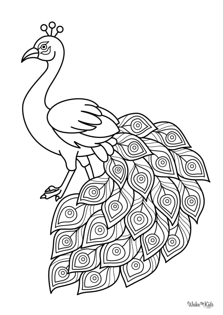 Peacock Coloring Pages (Free Printable PDFs) | WakeTheKids