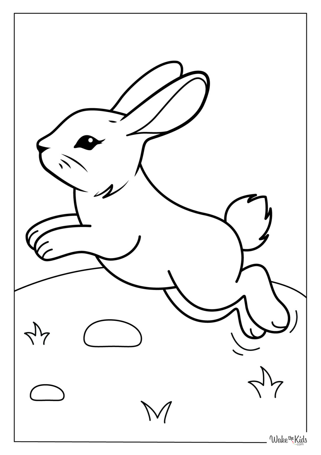 Rabbit Coloring Pages (Free Printable PDFs) | WakeTheKids