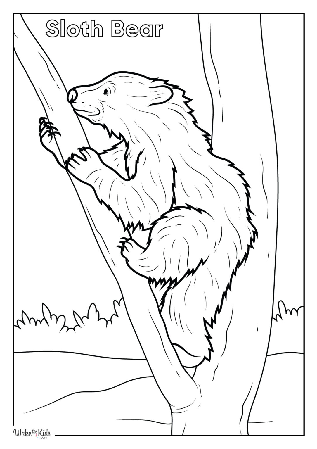Brown Bear Coloring Pages (Free Printable PDFs) | WakeTheKids