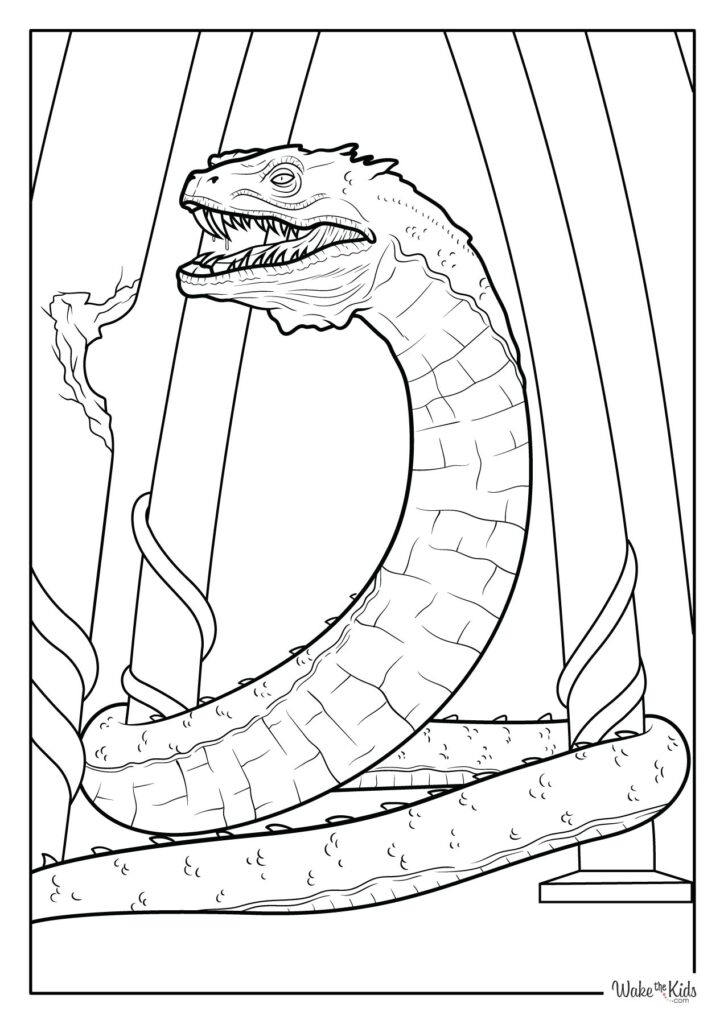 Harry Potter Coloring Pages (Free Printable PDFs) | WakeTheKids