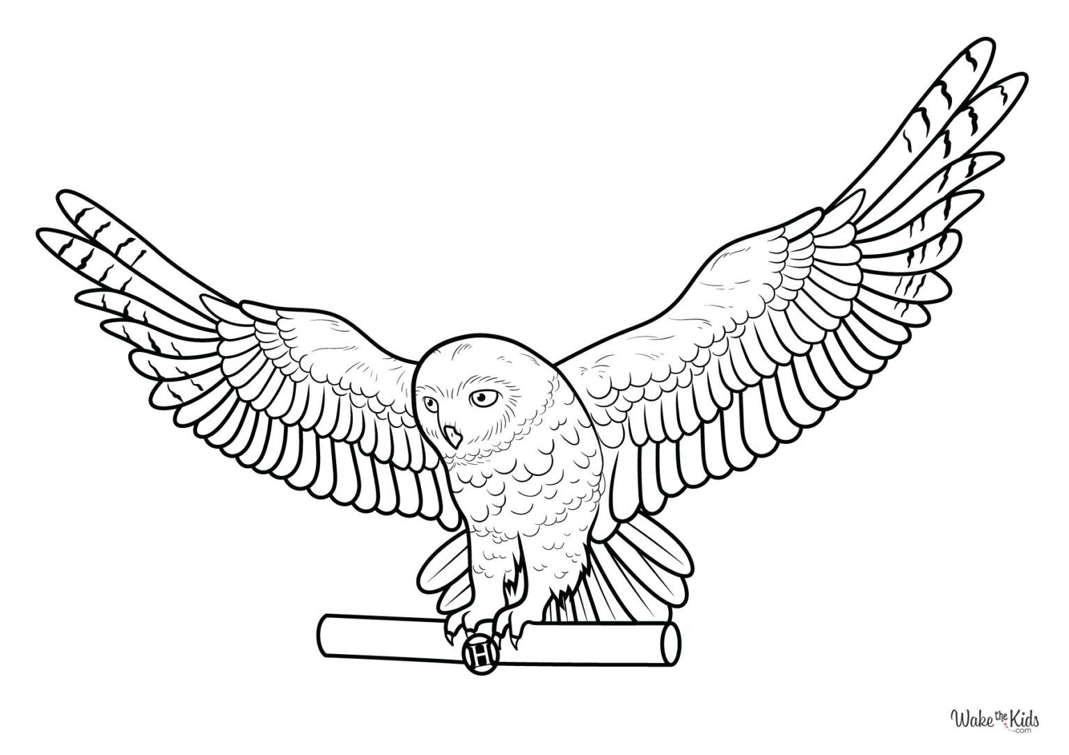 Harry Potter Coloring Pages (Free Printable PDFs) | WakeTheKids