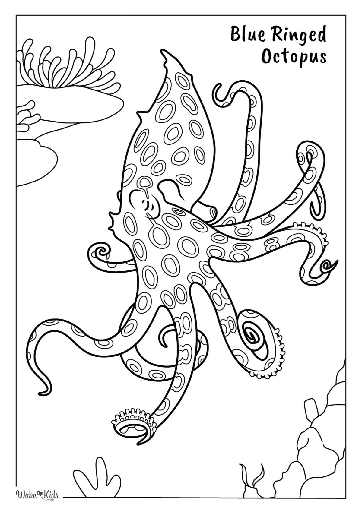 Octopus Coloring Pages (Free Printable PDFs) | WakeTheKids