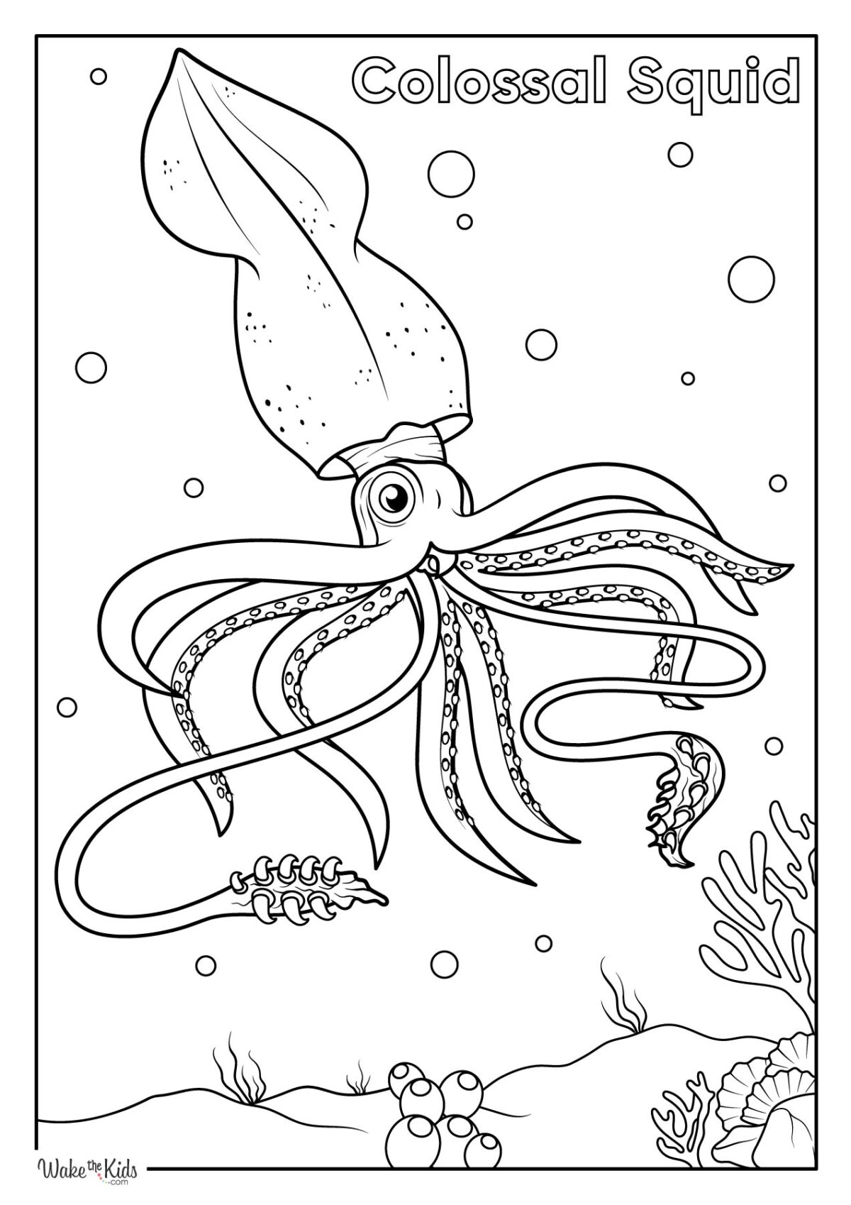 Squid Coloring Pages (Free Printable PDFs) | WakeTheKids