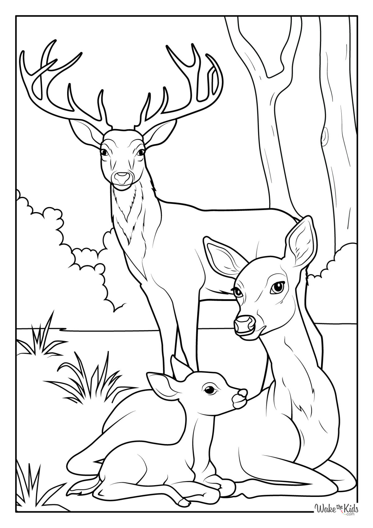 Deer Coloring Pages (Free Printable PDFs) | WakeTheKids