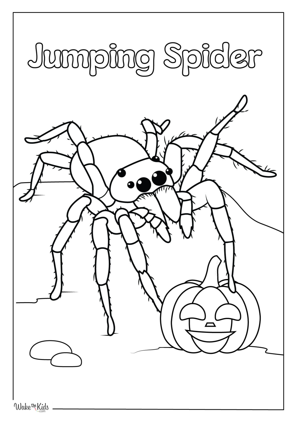 Spider Coloring Pages (Free Printable PDFs) | WakeTheKids