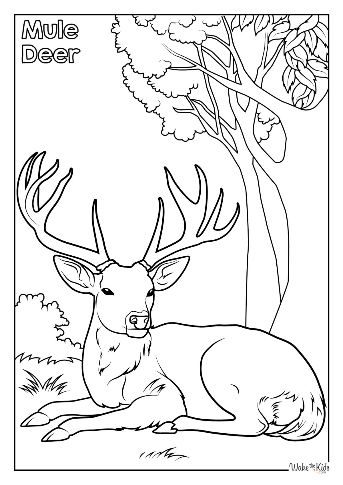 Deer Coloring Pages (Free Printable PDFs) | WakeTheKids