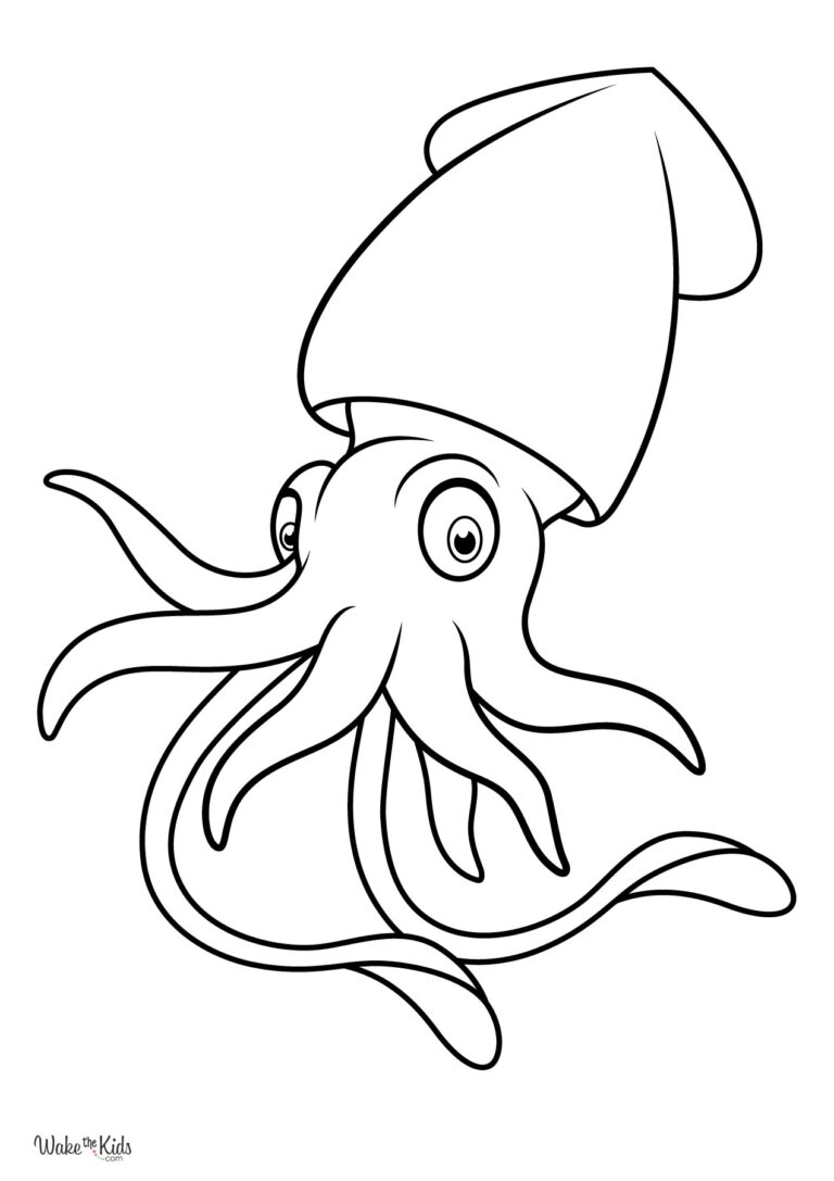 Squid Coloring Pages (Free Printable PDFs) | WakeTheKids
