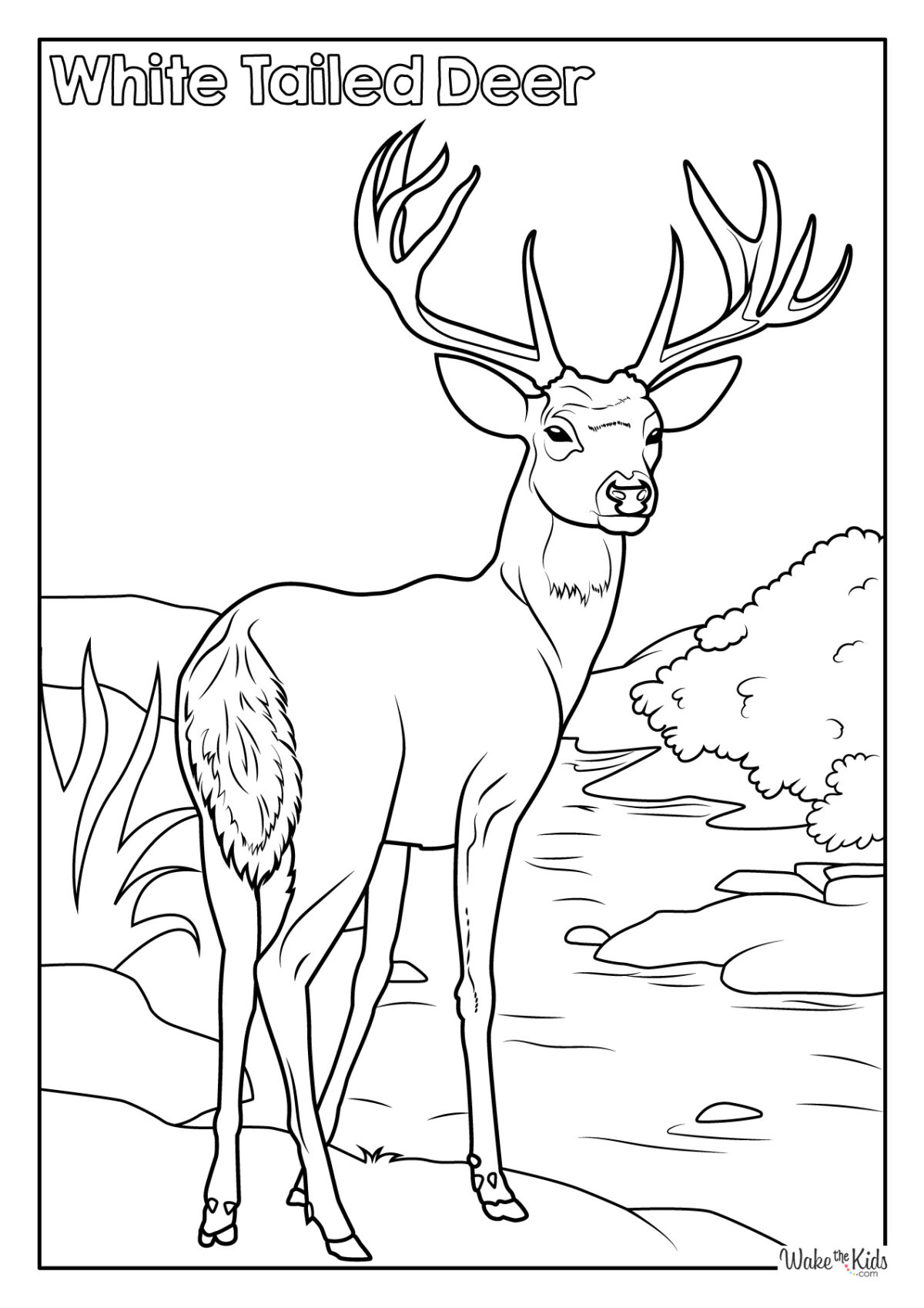 Deer Coloring Pages (Free Printable PDFs) | WakeTheKids