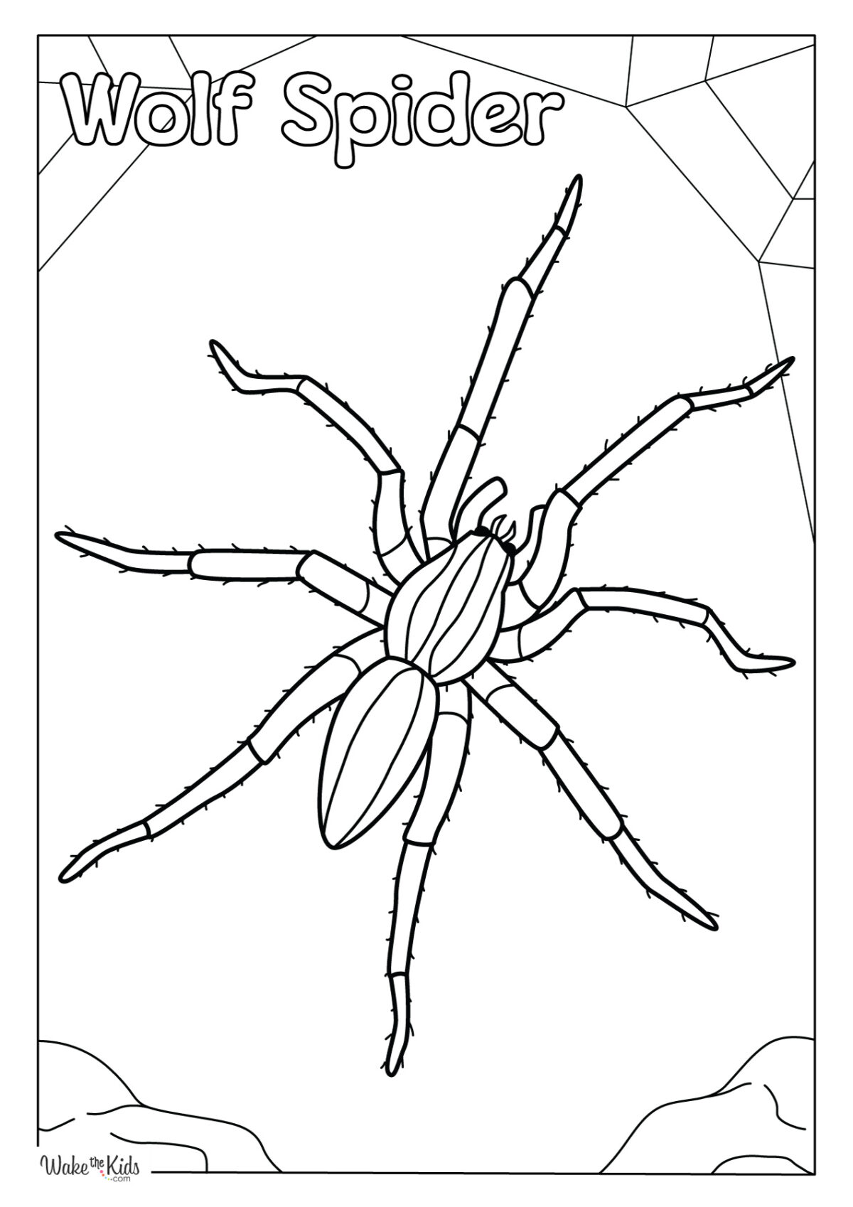 Spider Coloring Pages (Free Printable PDFs) | WakeTheKids