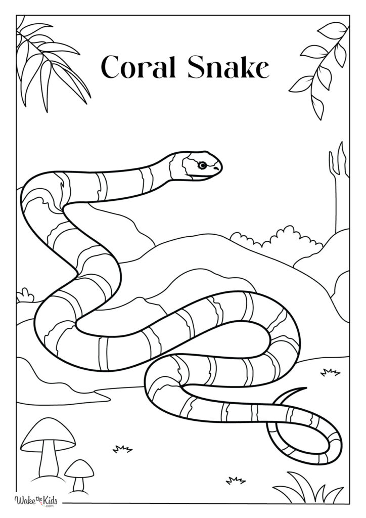 Snake Coloring Pages (Free Printable PDFs) | WakeTheKids