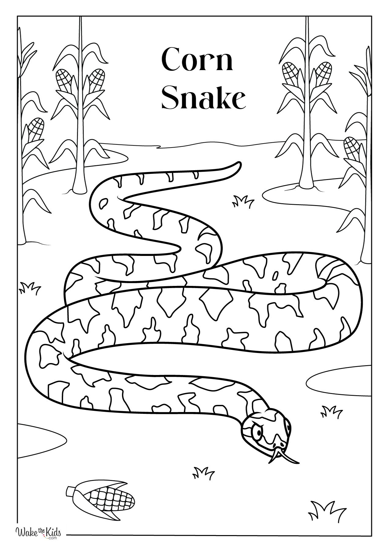 Corn Snake Coloring Pages 2025 Corn Snake Coloring Pages 2025