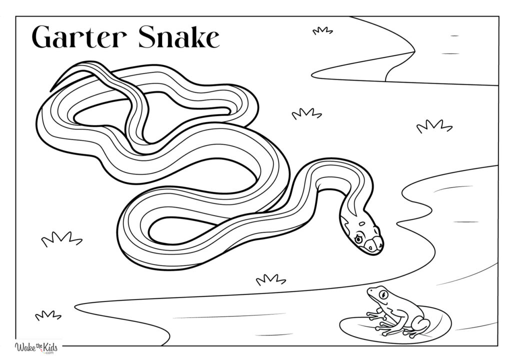 Snake Coloring Pages (Free Printable PDFs) | WakeTheKids