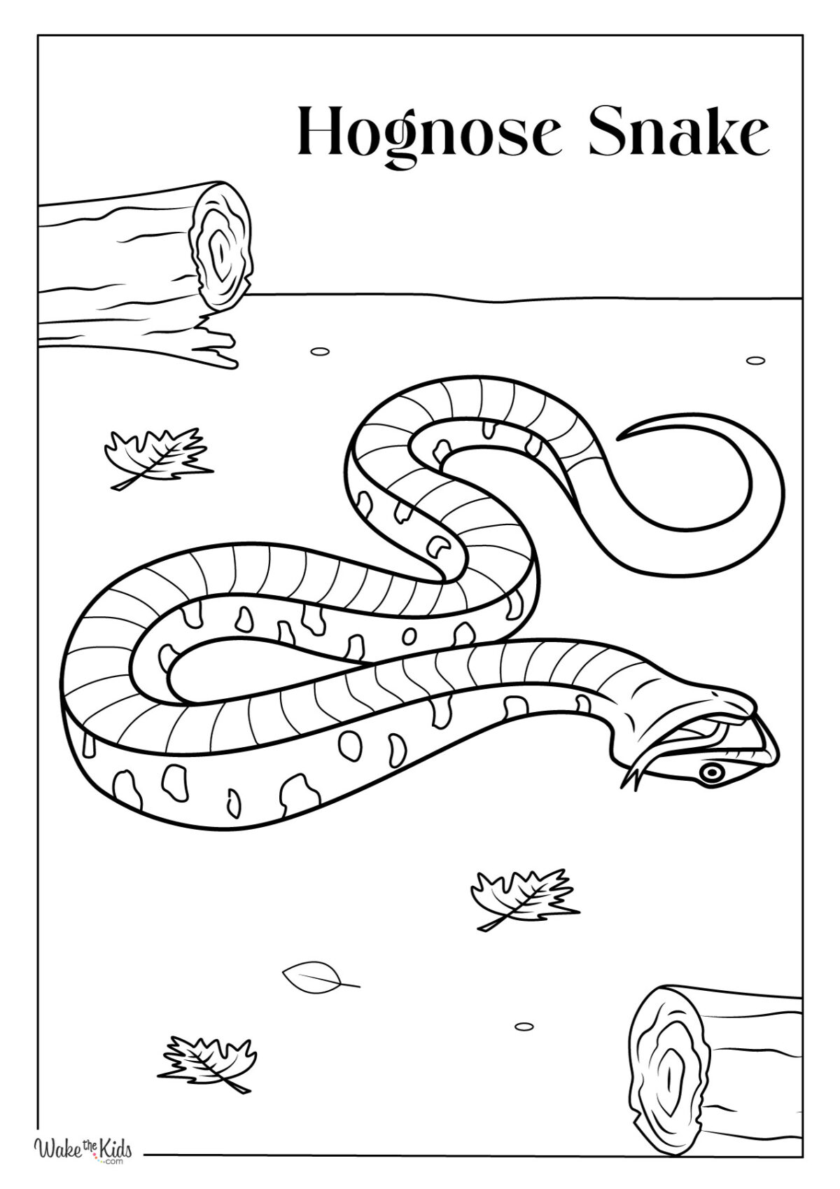 Snake Coloring Pages (Free Printable PDFs) | WakeTheKids