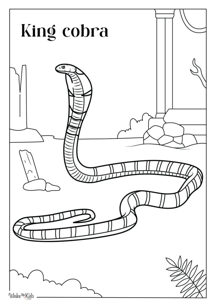 Cobra Coloring Pages (Free Printable PDFs) | WakeTheKids