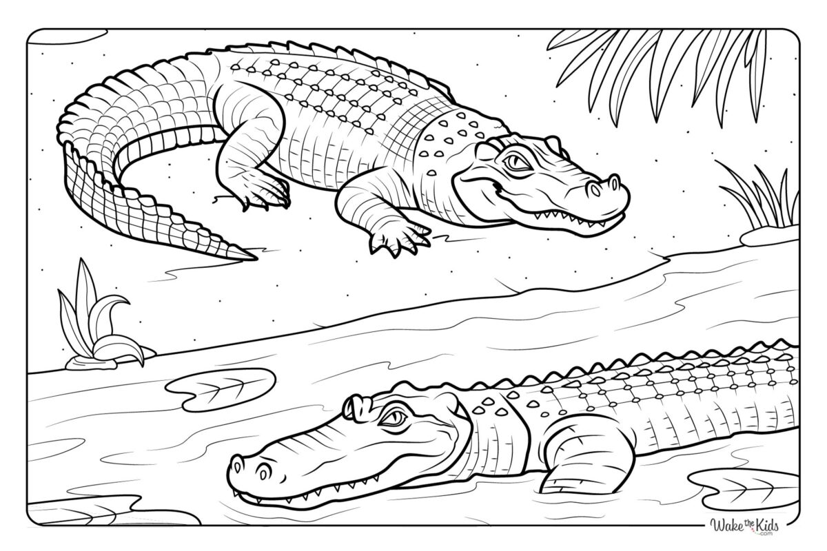 Alligator Coloring Pages Coloring Pages (Free Printable PDFs) | WakeTheKids