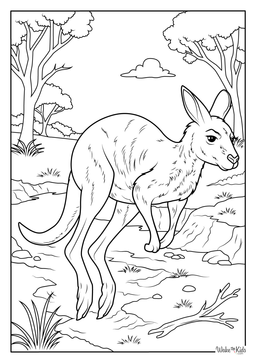 Kangaroo Coloring Pages (Free Printable PDFs) | WakeTheKids