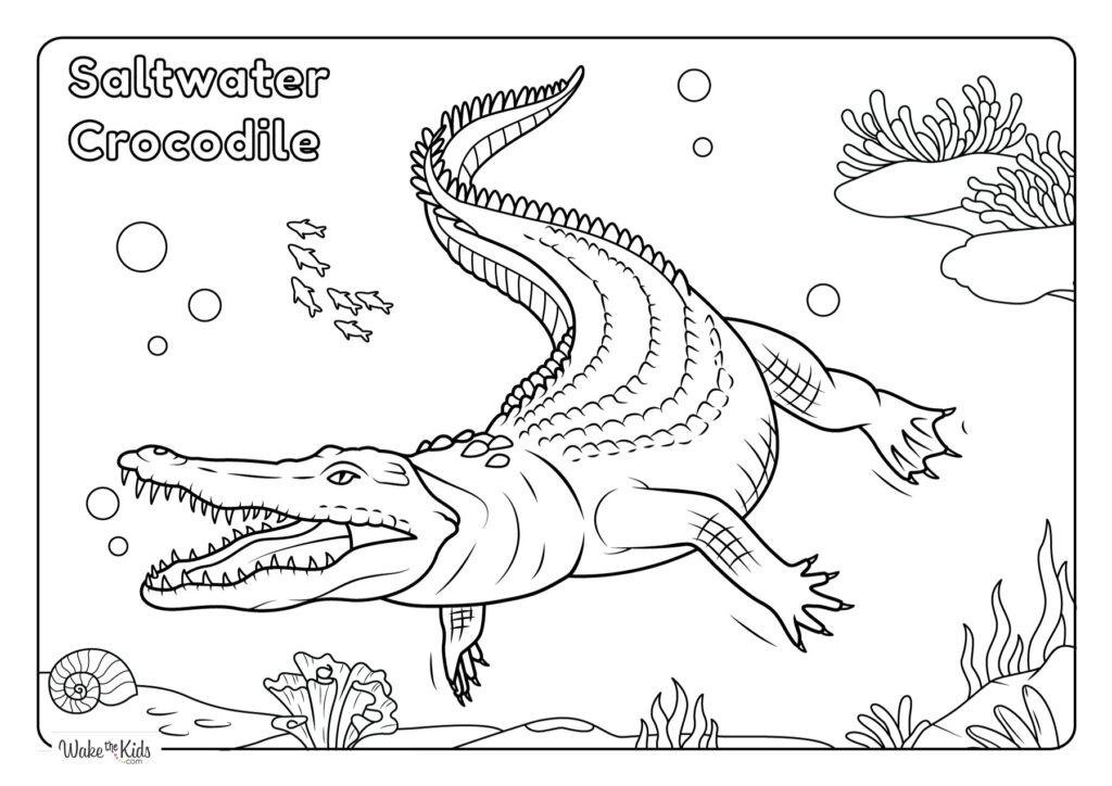 Crocodile Coloring Pages (Free Printable PDFs) | WakeTheKids