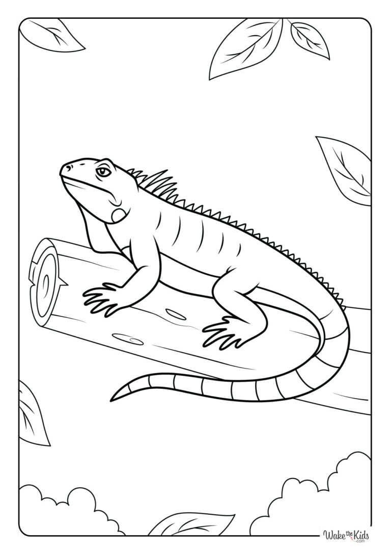 Iguana Coloring Pages (Free Printable PDFs) | WakeTheKids