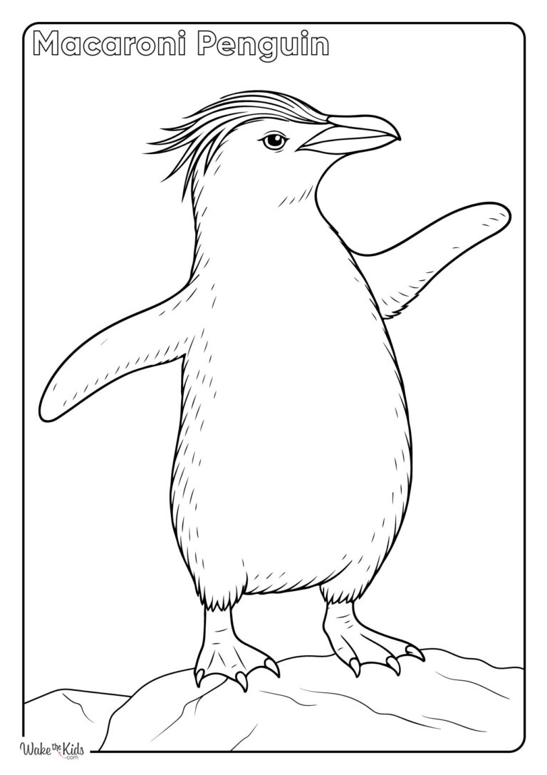 Penguin Coloring Pages (Free Printable PDFs) | WakeTheKids
