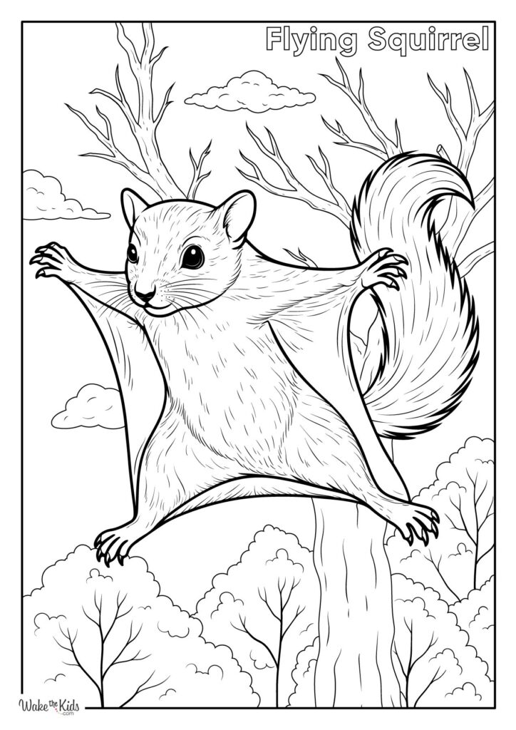 Squirrel Coloring Pages (Free Printable PDFs) | WakeTheKids
