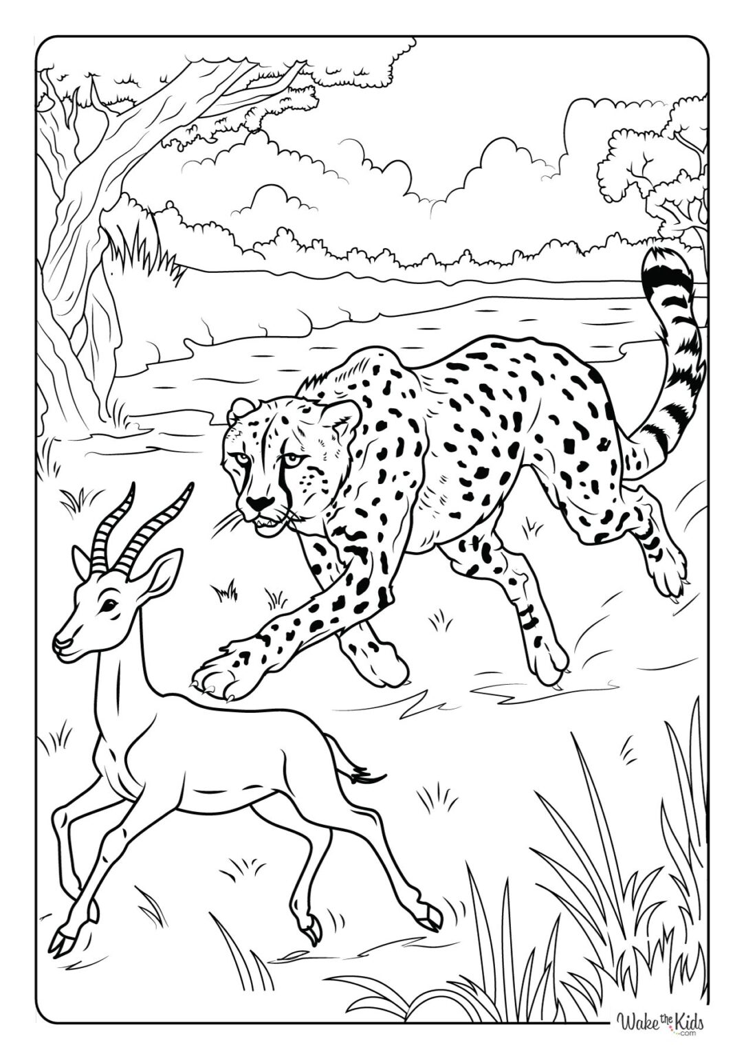 Cheetah Coloring Pages (Free Printable PDFs) | WakeTheKids
