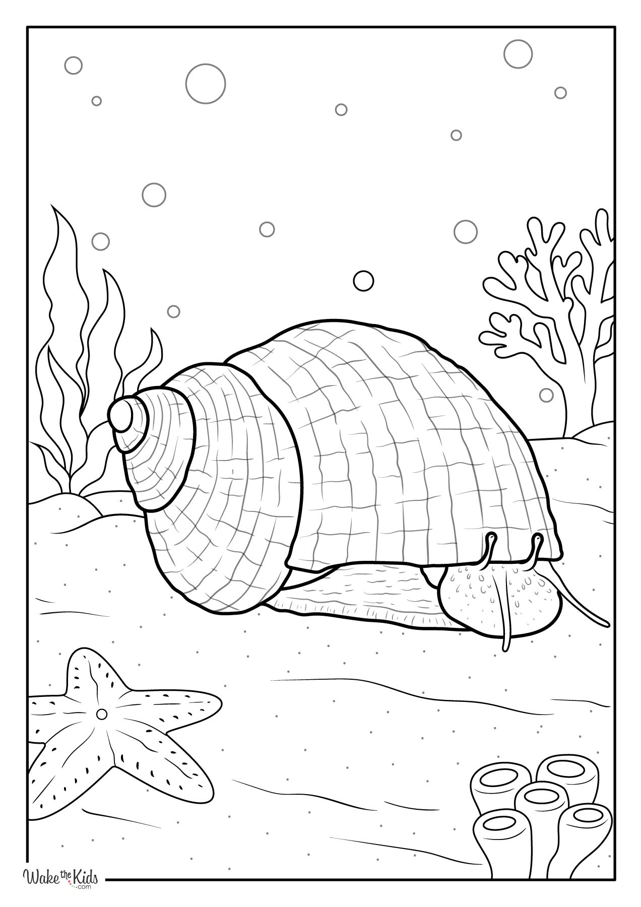 Snail Coloring Pages (Free Printable PDFs) | WakeTheKids